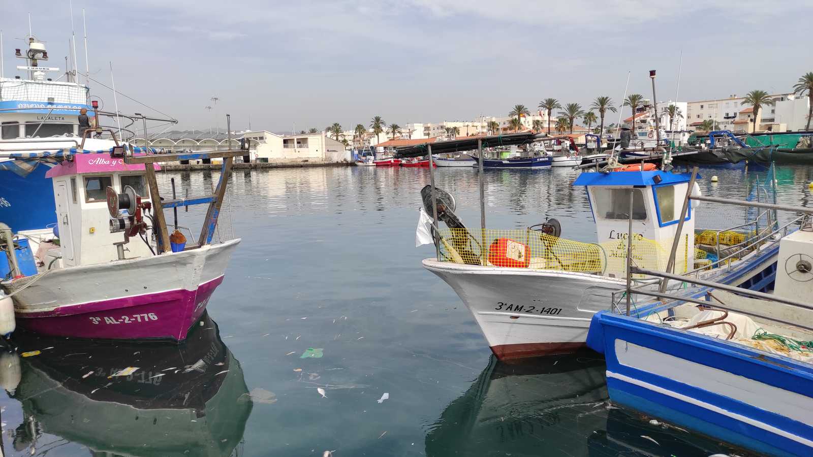 Protesta de la flota pesquera de Caleta de Vélez por las nuevas normas ...