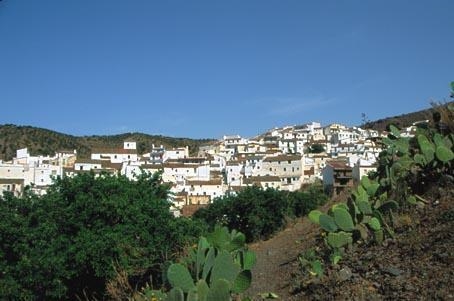 APTA Axarquía Costa del Sol presenta eI I Congreso Internacional de ...